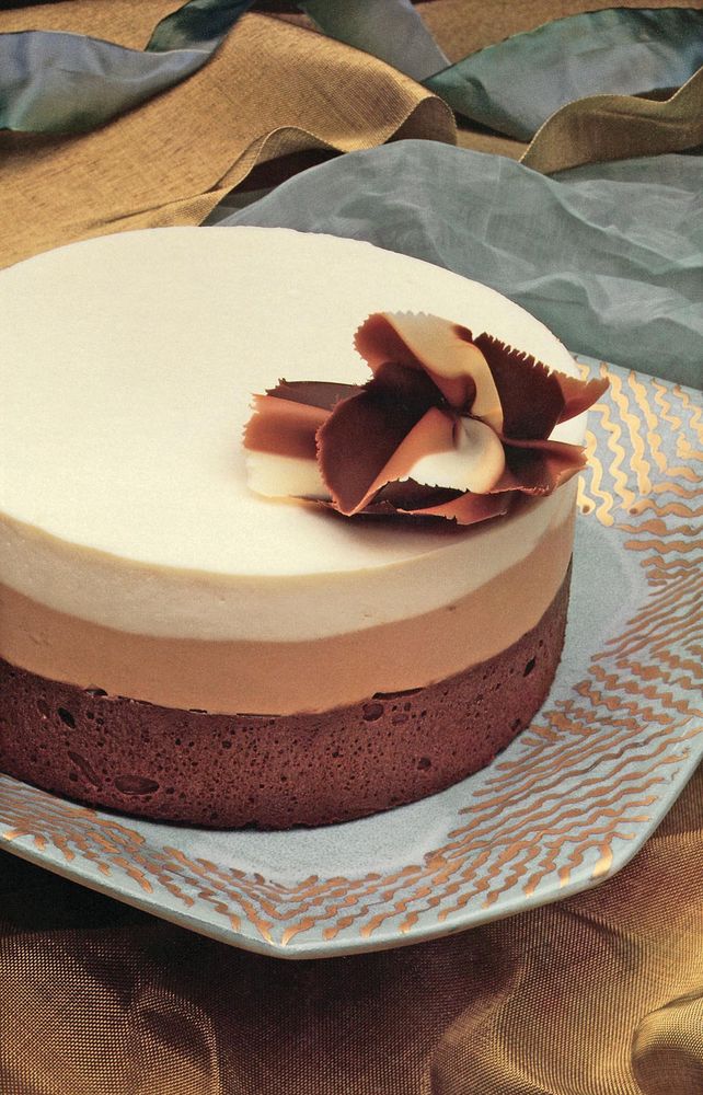 Tricolor Mousse from Cocolat: Extraordinary Chocolate Desserts by Alice ...