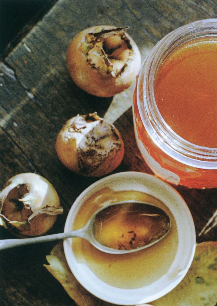 Medlar honey from A Cook’s Year in a Welsh Farmhouse by Elisabeth Luard