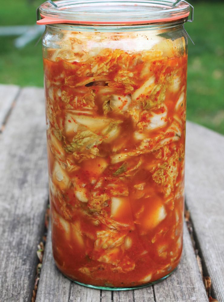 Napa Cabbage Kimchi from Can It & Ferment It: More Than 75 Satisfying ...
