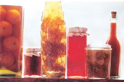 Elderflower Vinegar from The Carved Angel Cookery Book by Joyce Molyneux