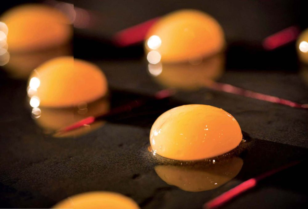 Molecular “Xiao Long Bao” from The Chef Book by Alvin Leung