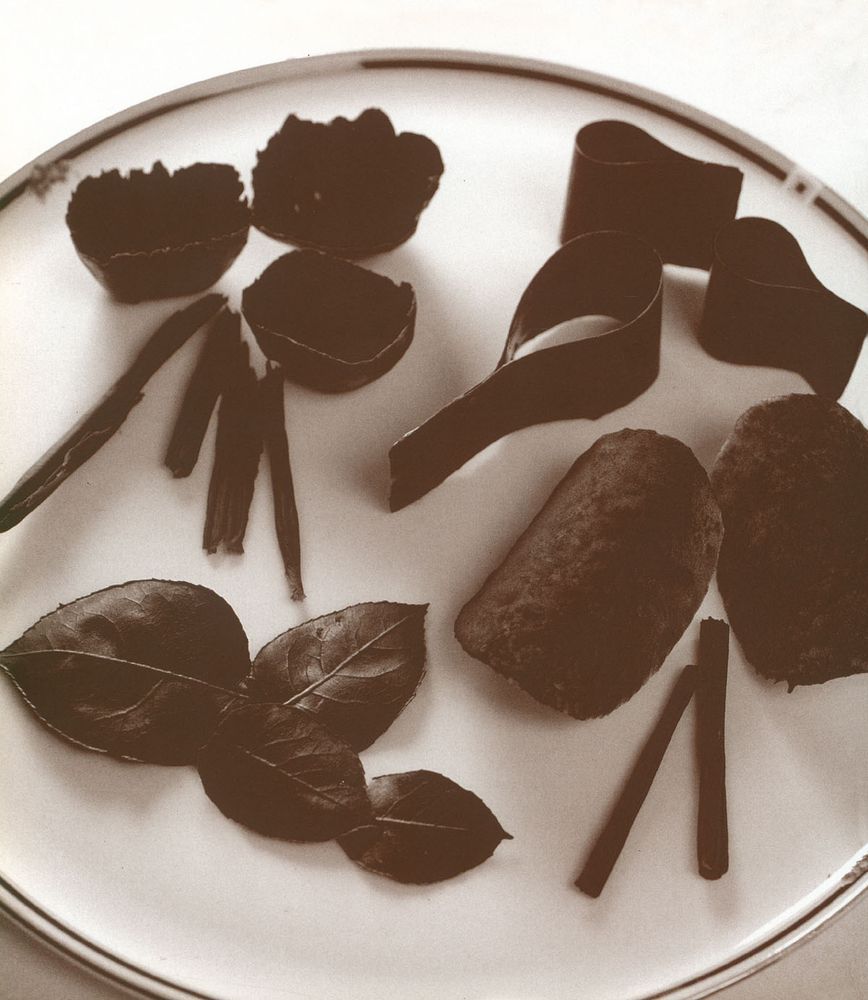 Tuiles from Chocolate: The Definitive Guide by Sara Jayne Stanes