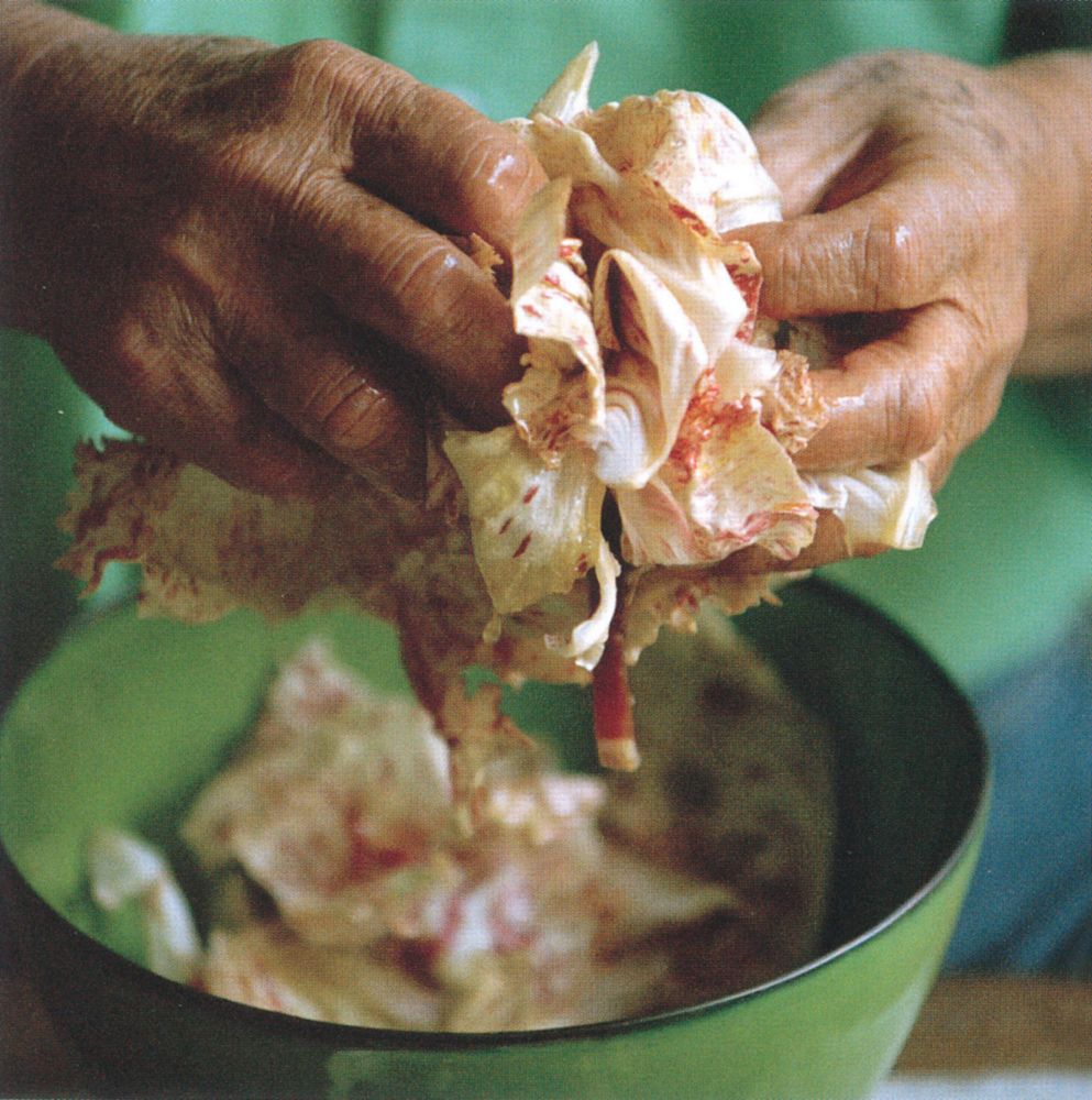 Insalata di Castelfranco from Antonio Carluccio – The Collection by ...