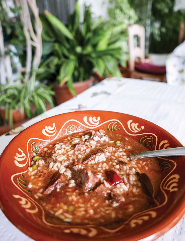 Wild venison in sherry sauce with rice from Andaluz: A Food Journey ...