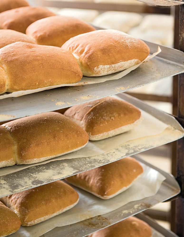 Panini from Bourke Street Bakery by Paul Allam and David McGuinness