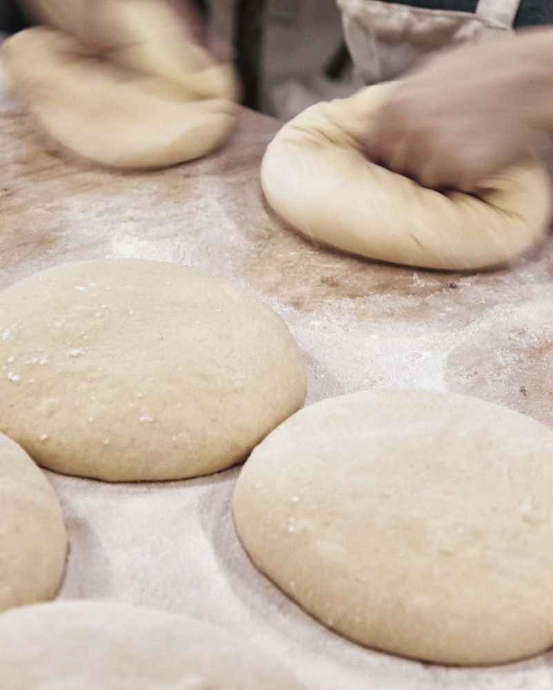 Sourdough Starter from Zingerman's Bakehouse by Amy Emberling