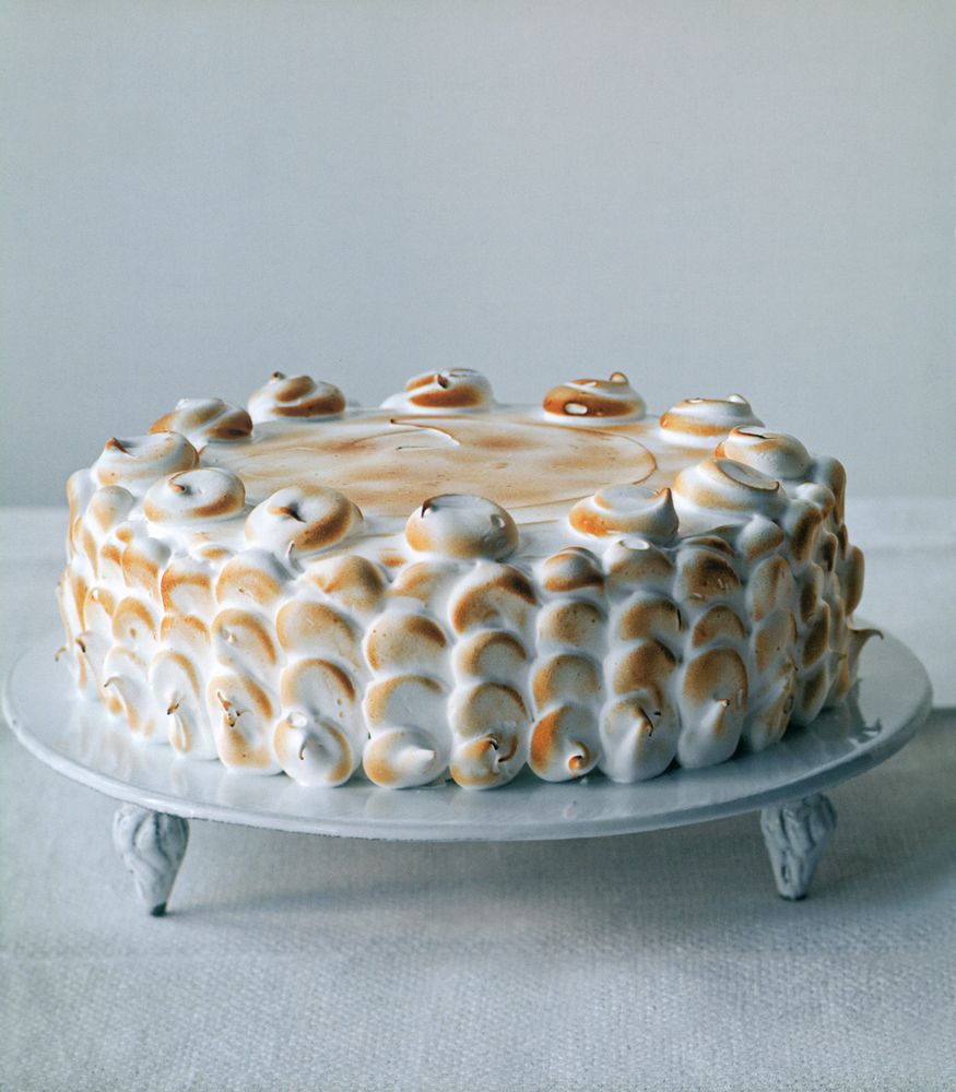 Russian Punch Cake from Bake!: Essential Techniques for Perfect Baking ...
