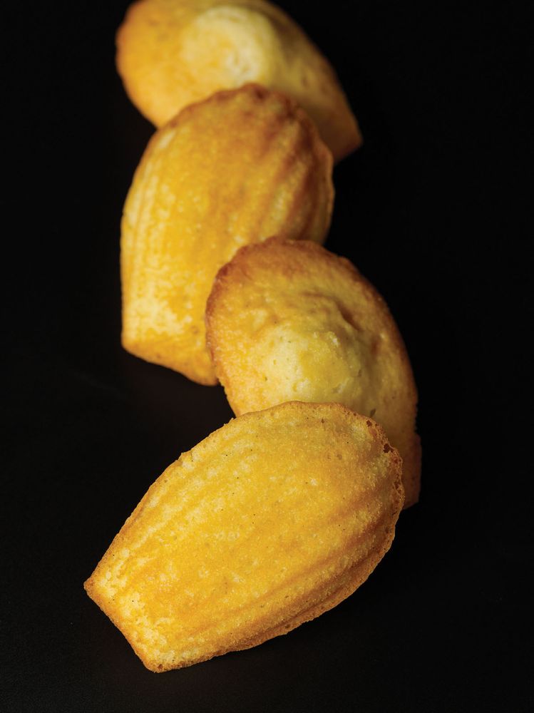 Madeleines from Baking & Pastry: Mastering the Art and Craft by ...