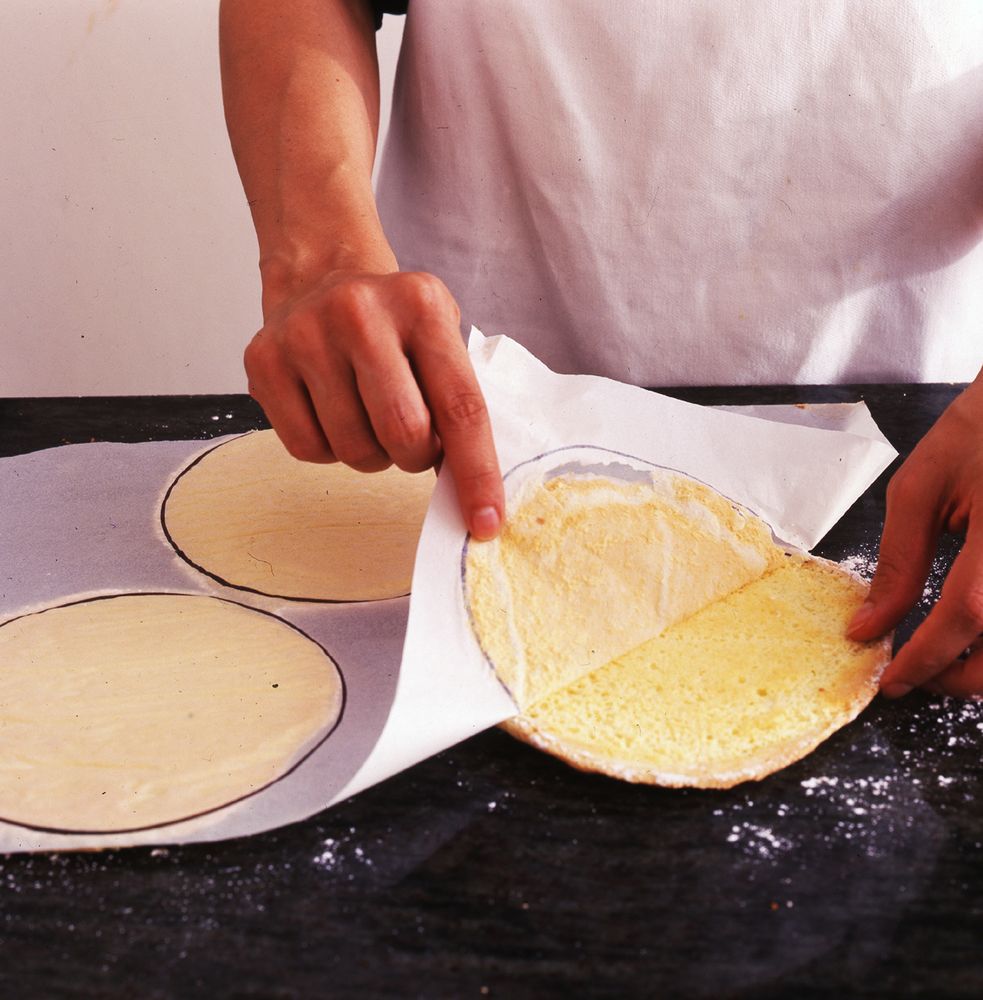 Fine-Crumb European Sponge Cake from Baking by James Peterson