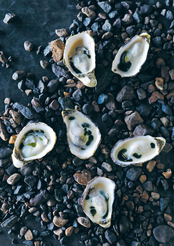 Steamed Oysters and Aged Apple Cider Emulsion from Bistronomy: French ...