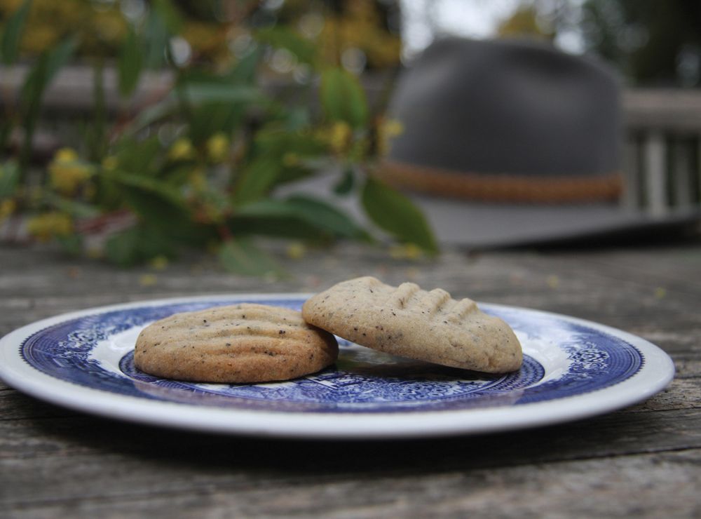 Macadamia and Wattle Seed Biscuits from The Blue Ribbon Cookbook by Liz ...