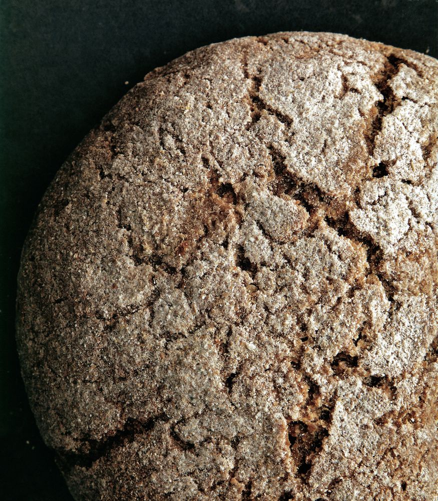 White Spelt and Caraway Bread from Nick Malgieri's Bread by Nick Malgieri