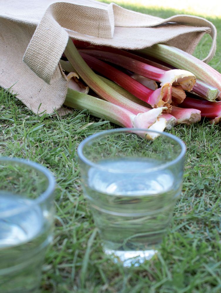 Rhubarb Wine from Brew it Yourself: Make Your Own Beer, Wine, Cider and ...