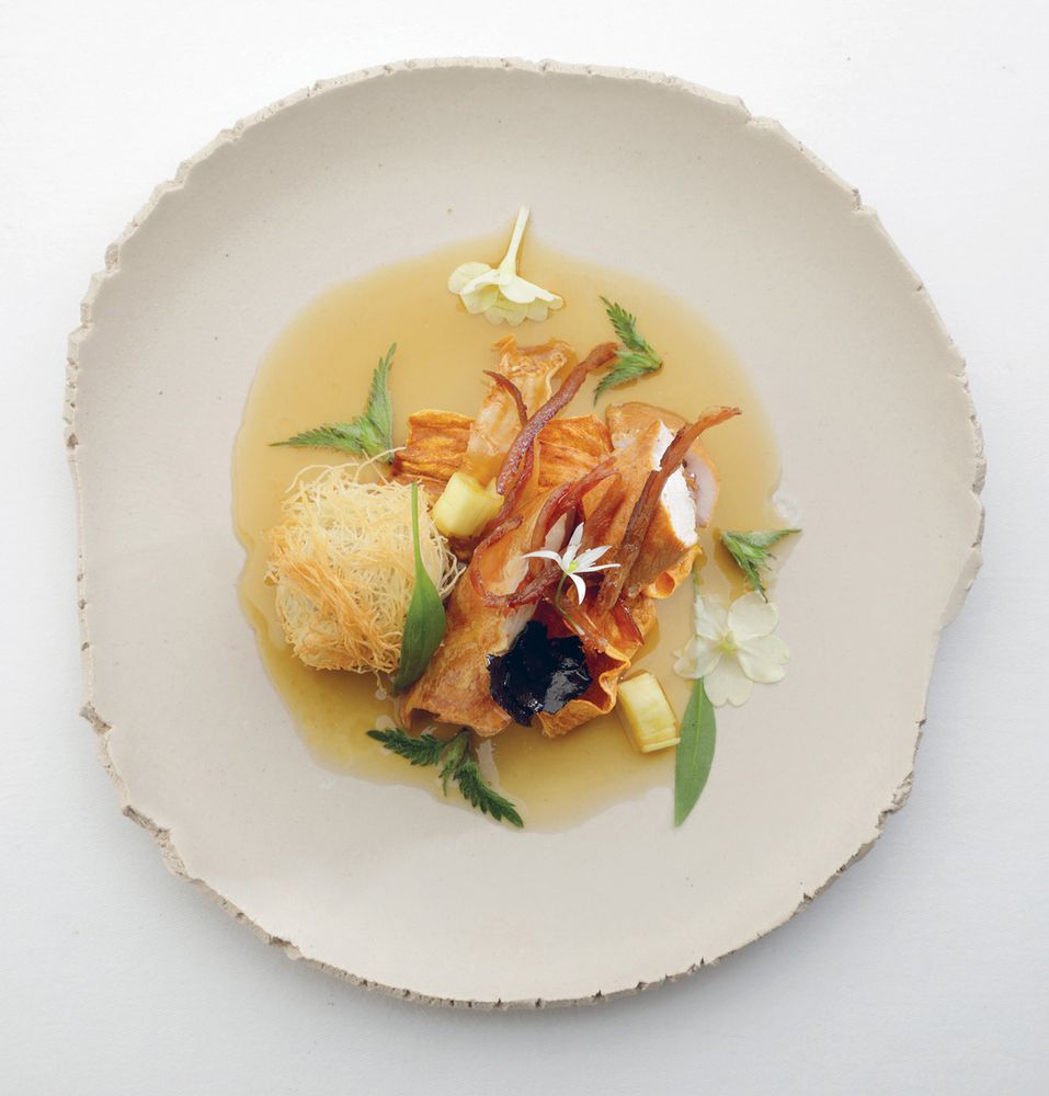 Rabbit, birch tea from Glorious Game by Frances Atkins