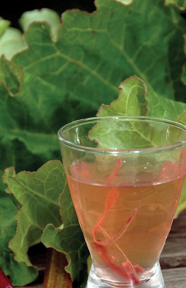 Rhubarb Schnapps from The Great Book of Rhubarb by Andrew Pern