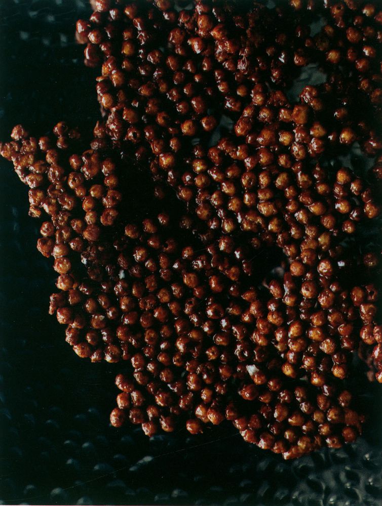 Chocolate Rice Crisps from Dessert Divas by Christine Manfield