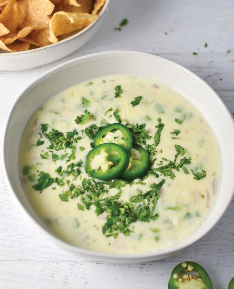 Queso Dip from The Dizzy Cook: Managing Migraine with More Than 90 ...