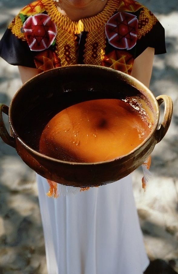 Oaxacan Pasilla Chile Sauce from The Food and Life of Oaxaca ...