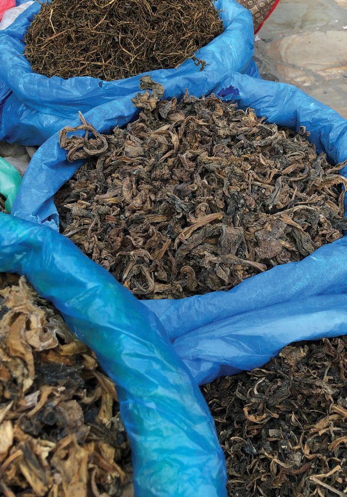 How to make Gundruk from Food and Flavours from Nepal by Jyoti Pathak