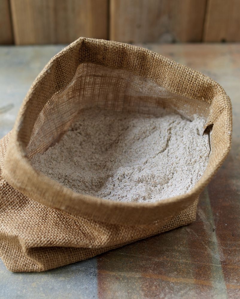 Sprouted Wheatflour from Fermentation by Asa Simonsson