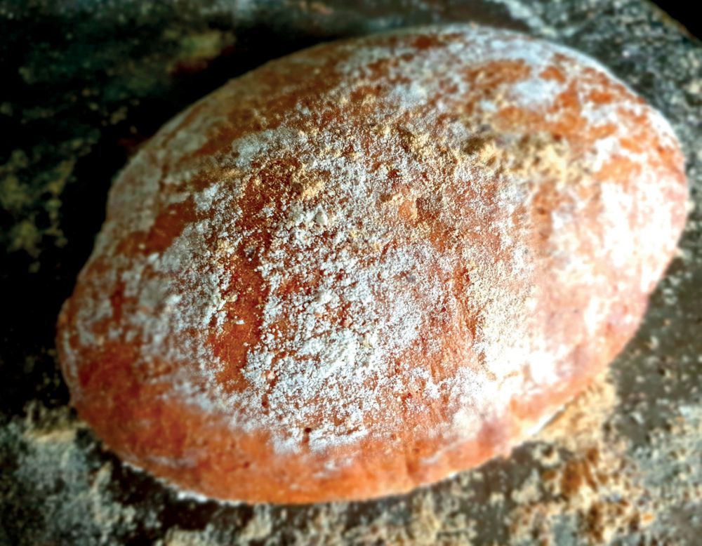 Roman Army ‘Slipper’ Bread Recipe from Freekeh, Wild Wheat & Ancient ...