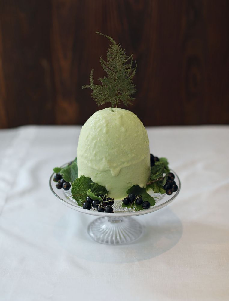 Cucumber Cream Ice from How to Cook The Victorian Way with Mrs Crocombe ...
