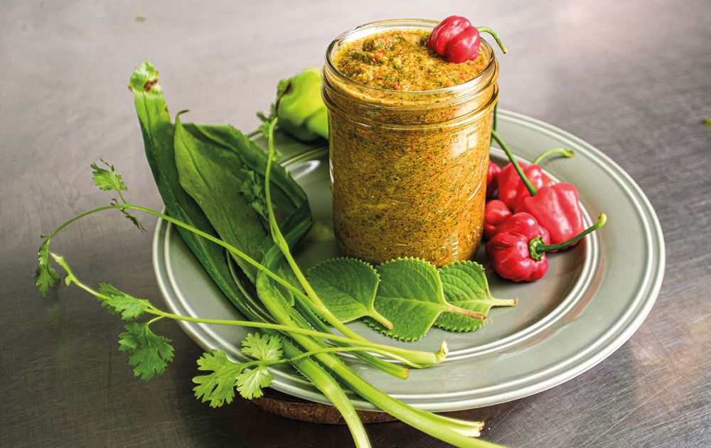 Homemade Sofrito from Islands In A Common Sea: Stories of farming ...