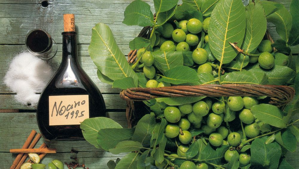 Nocino from Antonio Carluccio's Italian Feast by Antonio Carluccio