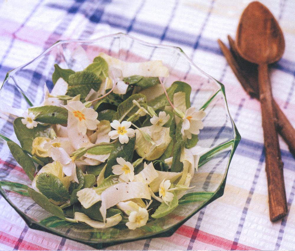 Primrose salad from Orchards in the Oasis: Recipes, travel and memories ...