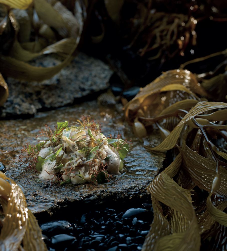 Sea Tastes from Origin by Ben Shewry