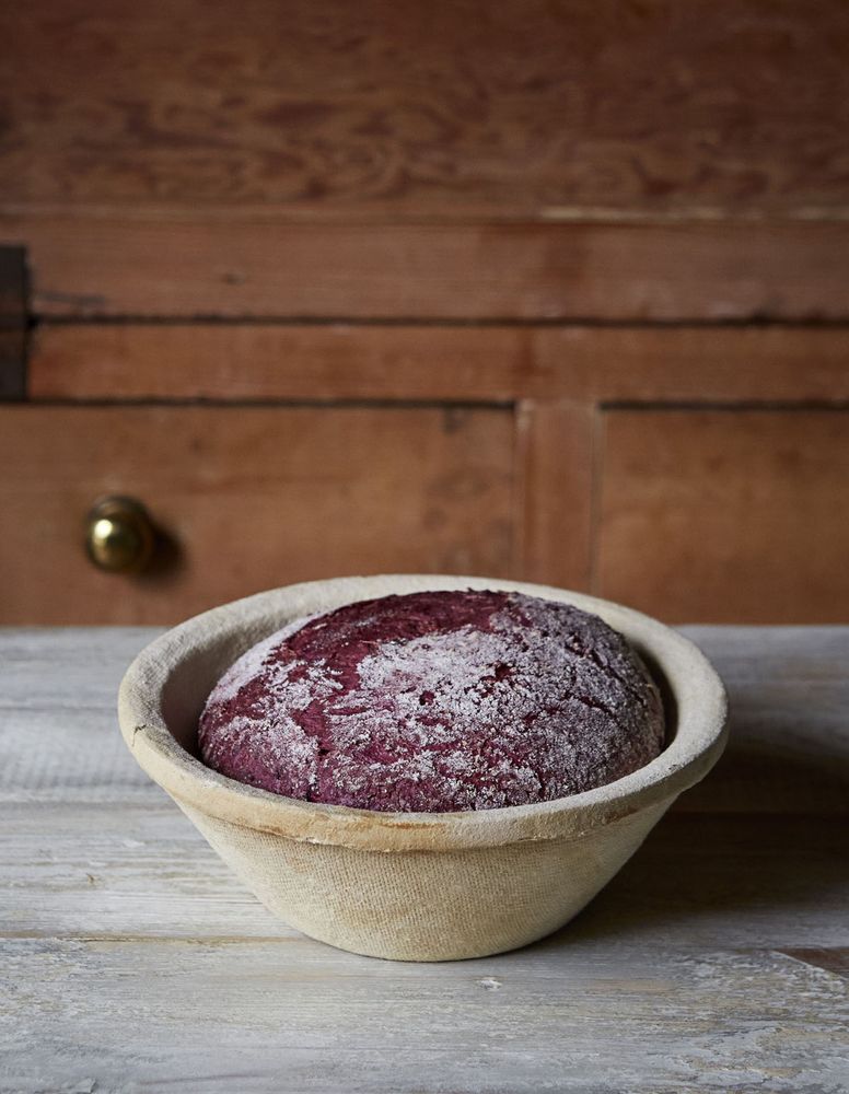 Beetroot Bread from Modern Sourdough: Sweet and Savoury Recipes from ...