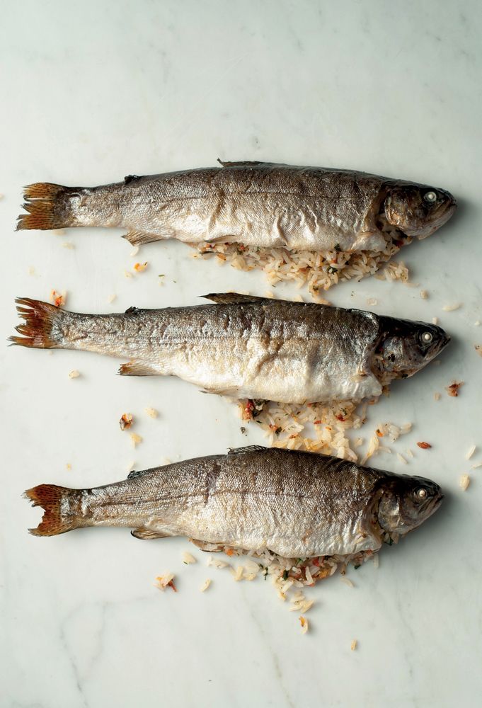 Stuffed Fish from Macedonia: The Cookbook by Katerina Nitsou