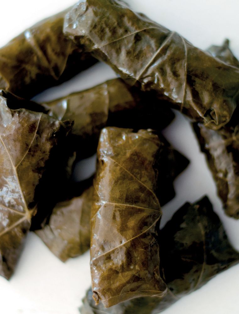 Stuffed Grape Leaves from Macedonia: The Cookbook by Katerina Nitsou