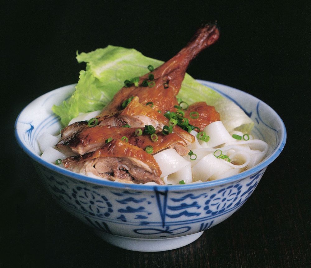 Hor fun soup noodles with roast duck from Noodle by Terry Durack