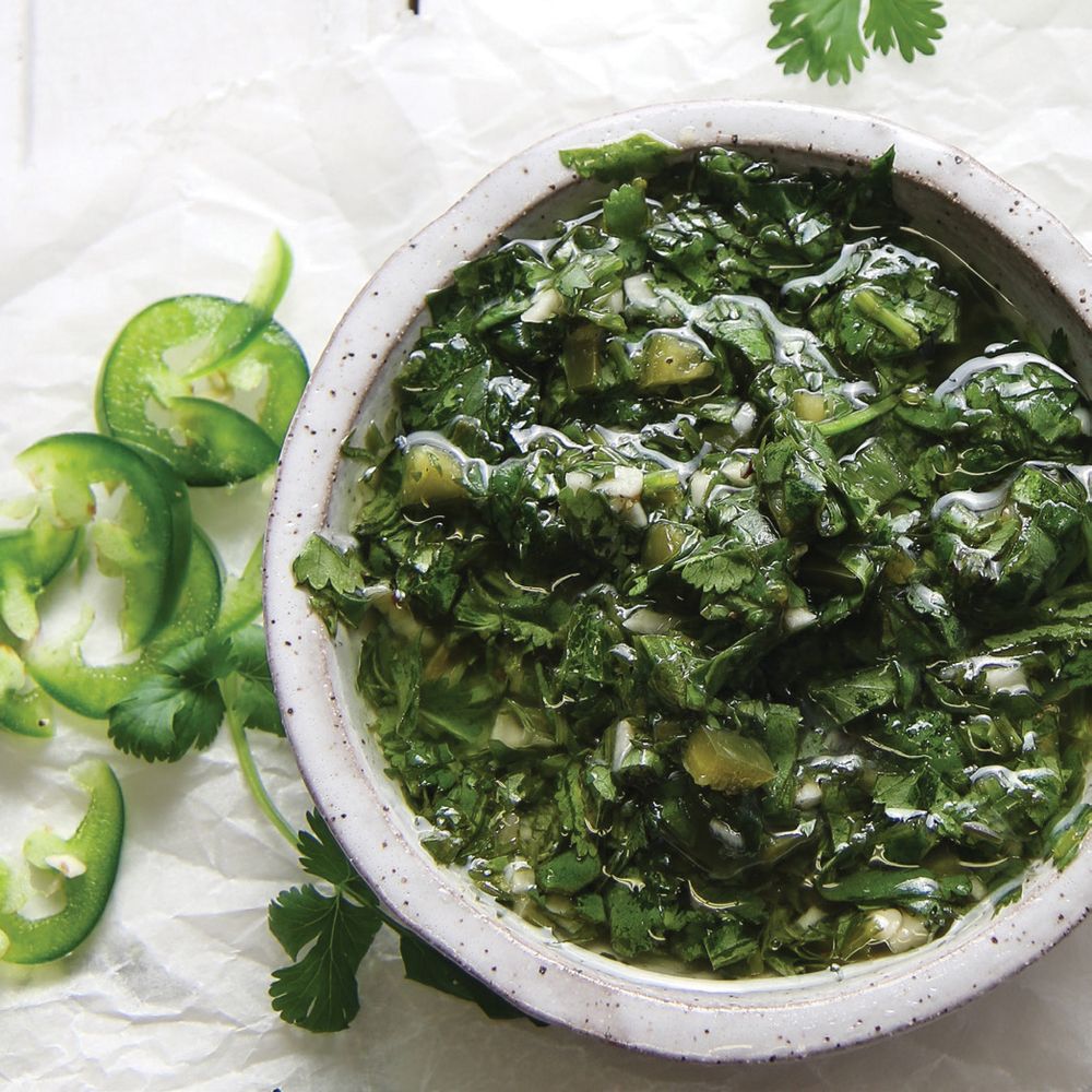 Cilantro Sauce from My South Texas Kitchen: Traditional Recipes And ...