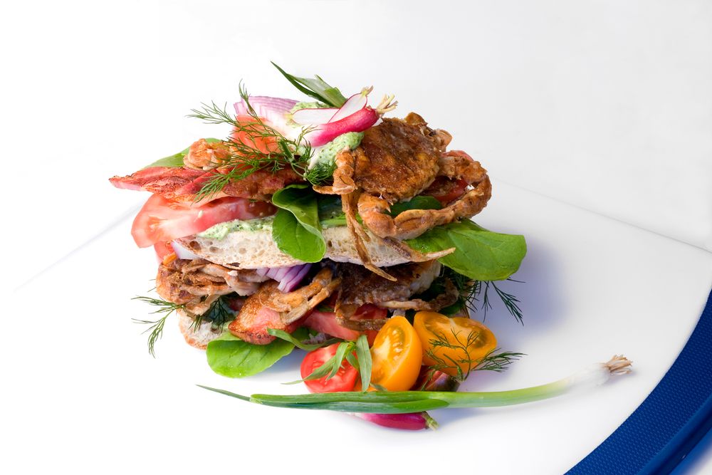 Soft Shell Club Sandwich from Sandwiches of the World by Ed Brown