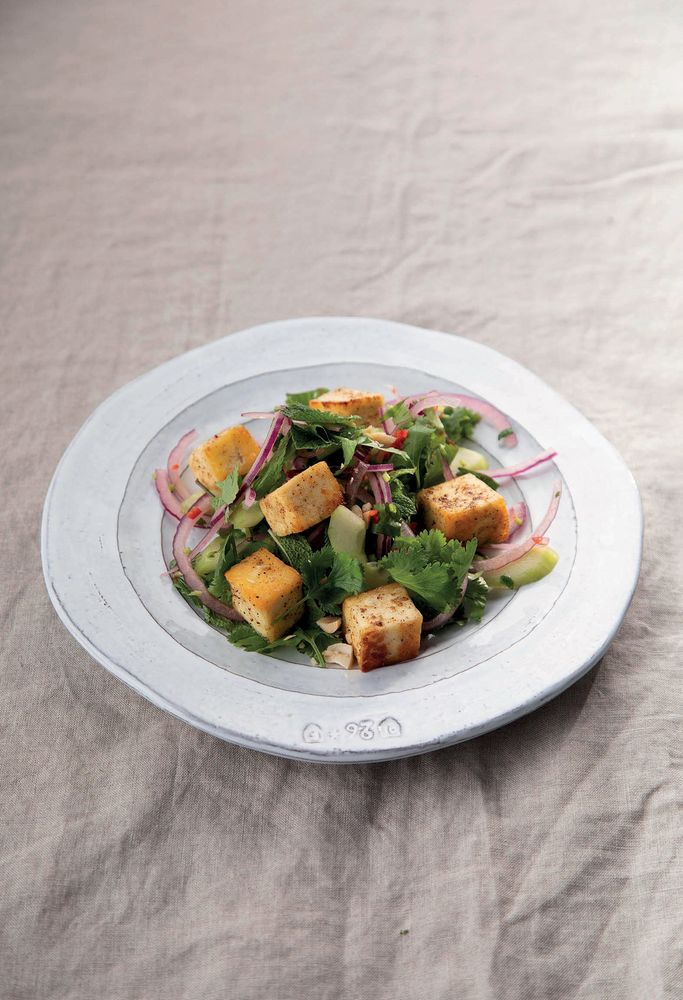 Spiced Paneer with Coriander and Lime Salad from Seasonal Salads by Fi ...