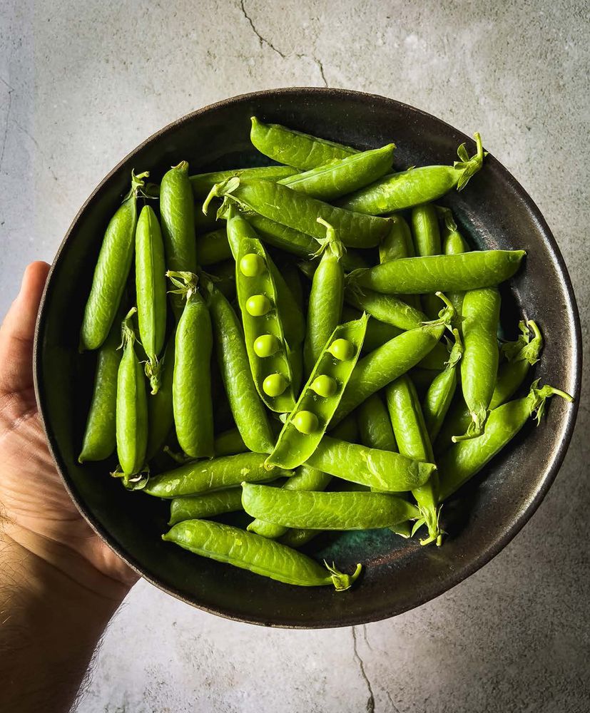 Peas from Seed to Table: A Seasonal Guide to Organically Growing ...
