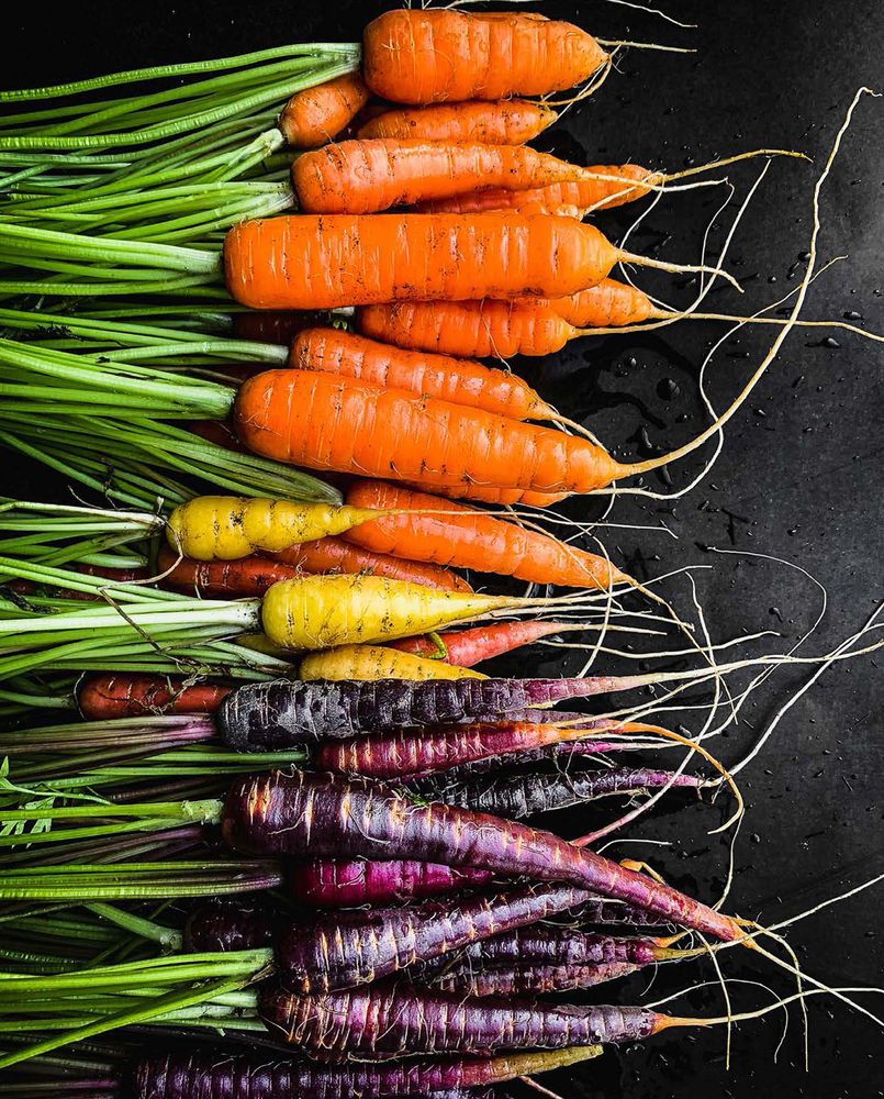 Carrots from Seed to Table: A Seasonal Guide to Organically Growing ...