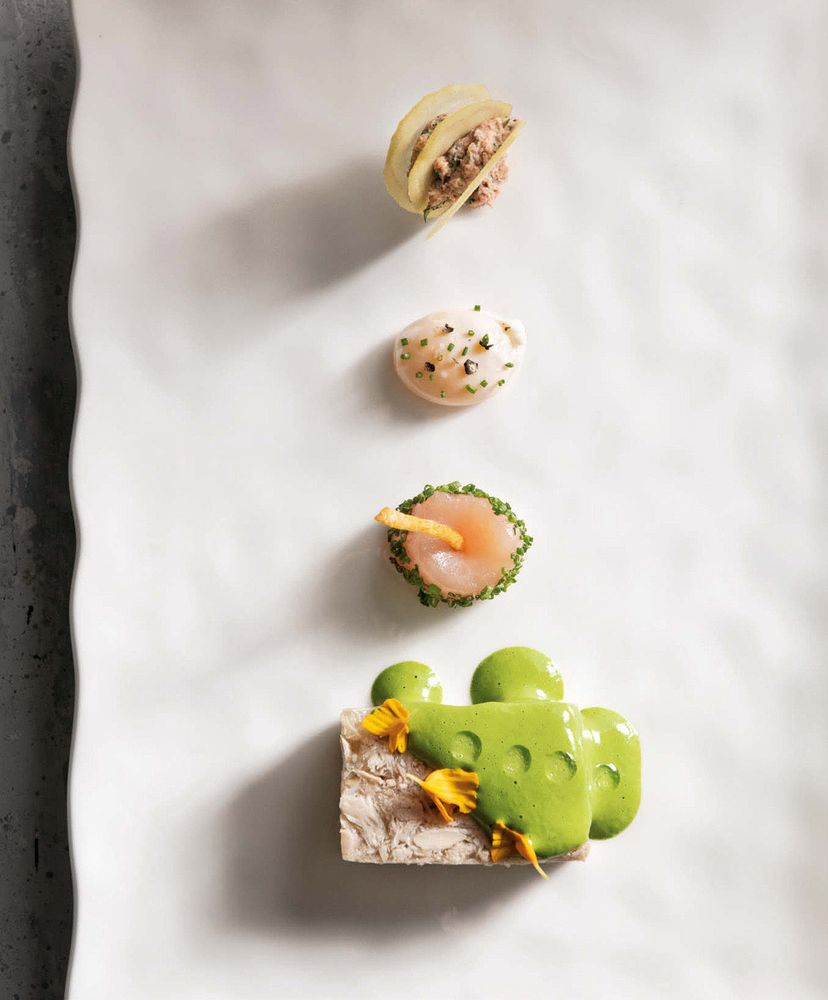 Rabbit Terrine with Gewurztraminer, Hyssop, and Fines Herbes Coulis ...