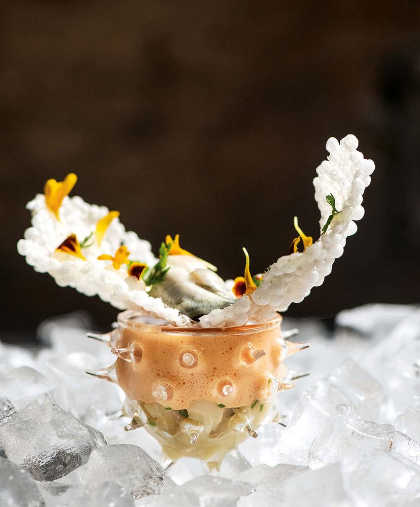 Riesling-Braised Scallops with Uni Espuma, Tapioca Crisp, Kumamoto ...