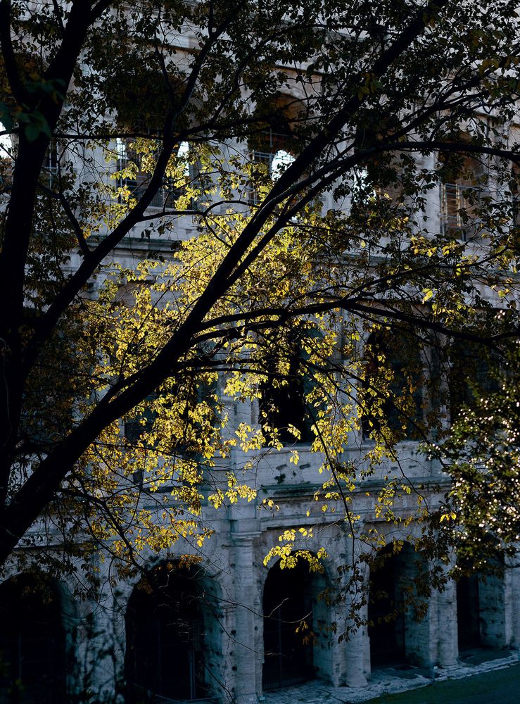 A simple artichoke soup from Pomegranates & Artichokes: Recipes and ...