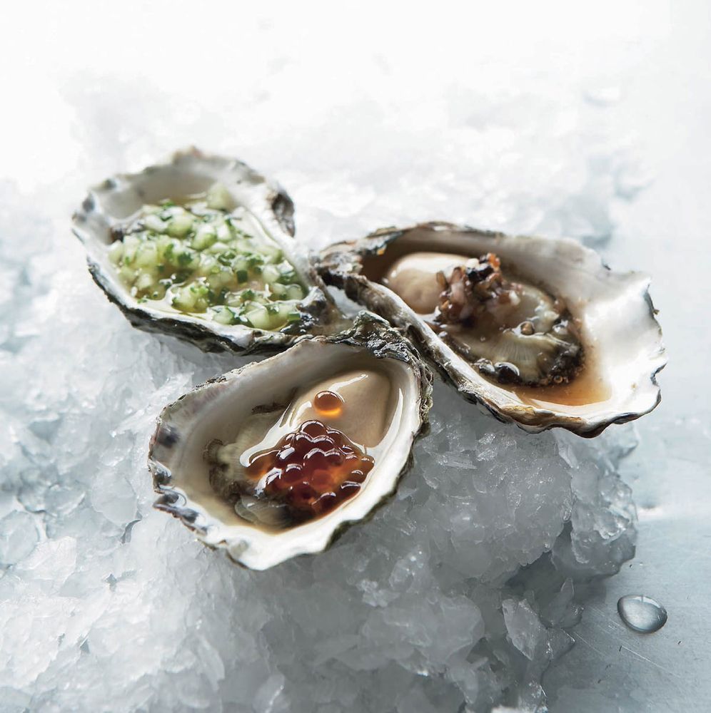 Sydney Rock Oysters with Cucumber and Chive Vinaigrette – Sauce ...
