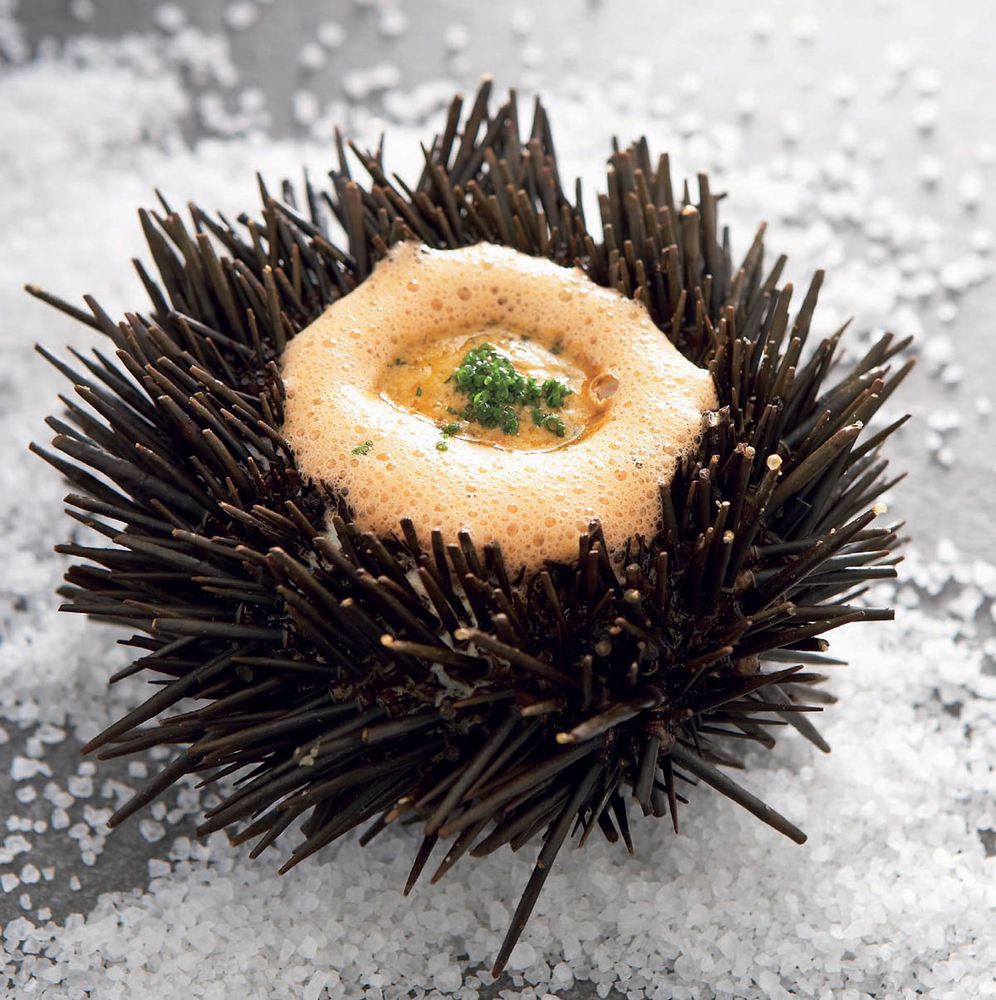 Mussel Soup with Sea Urchin Butter – Rouille Foam from Pier: A Unique ...