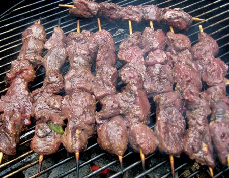 Kangaroo Kebabs with Grilled Olive Tzatziki from Planet Barbecue by ...