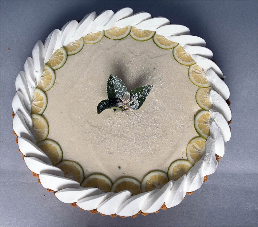 Chocolate Decadence from The Professional Pastry Chef by Bo Friberg