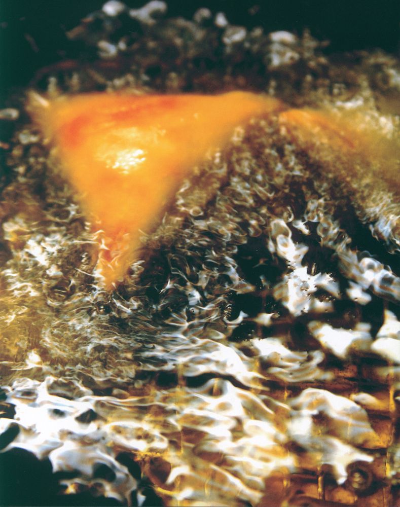 Duck Samosas from Rice, Spice and All Things Nice by Reza Mahammad