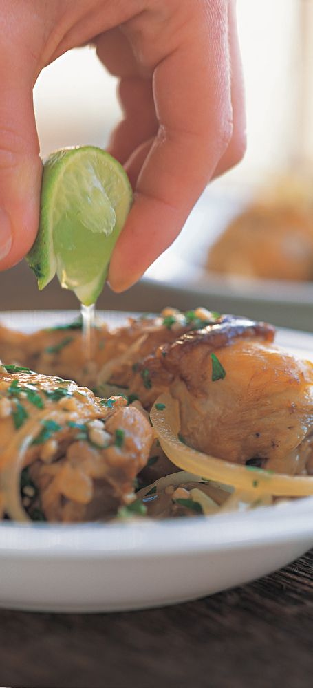 Cuban Chicken Stew from The Weeknight Cook by Brigit Binns