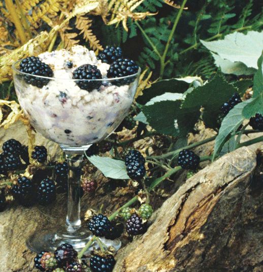 Scots Cream Crowdie from Wild Food by Roger Phillips