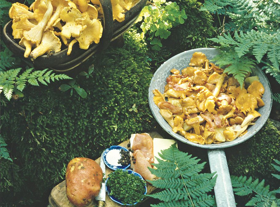 Chanterelles à la Forestière from Wild Food by Roger Phillips